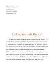 Identifying Unknown Microorganisms In Microbiology Lab Course Hero