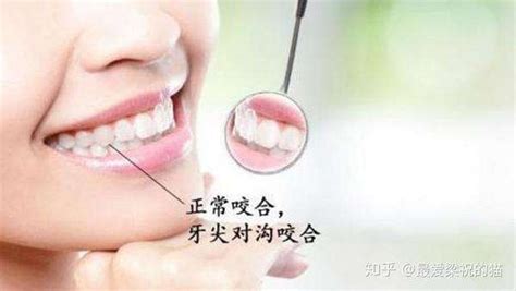 牙齿正常的咬合状态 图库 五毛网