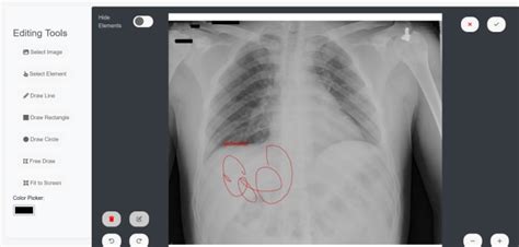 Do Full Stack Web Development Using Laravel Python Wordpress By Tech