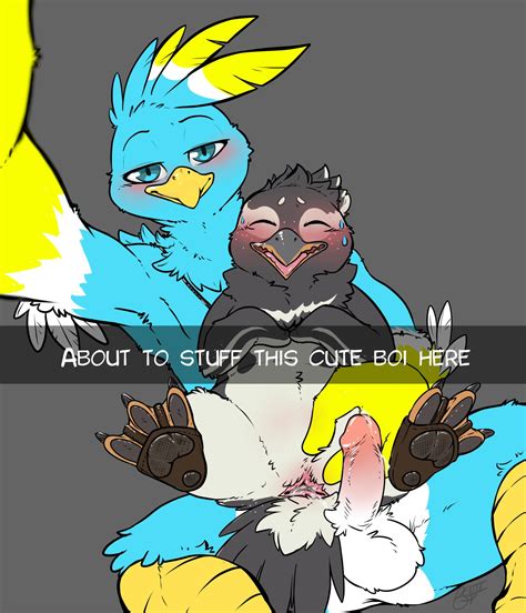 Rule 34 Animal Genitalia Anthro Anthro On Feral Avian Benji Artist