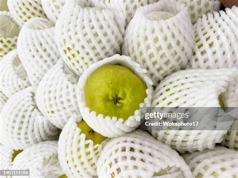 Polystyrene Packaging Photos And Premium High Res Pictures Getty Images