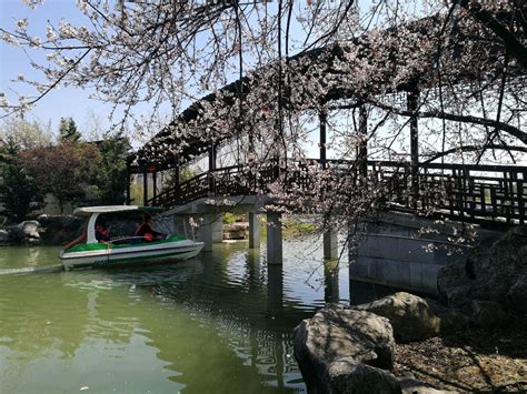 2024八大山人梅湖景区游玩攻略沿着湖岸边的仿古长廊漫步，【去哪儿攻略】