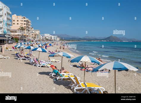 Sandy Beach Beach With Sun Loungers And Parasols Can Picafort Majorca