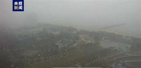 福建多地有大雾天气 厦漳轮渡暂时停航 荆楚网 湖北日报网