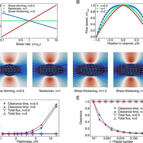 quantification of spatial patterning in airway ciliary arrays a