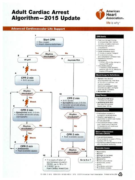 Acls Algorithms 2024 Pdf Angil Orella