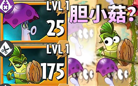 Scaredyshroom Bamboospartan