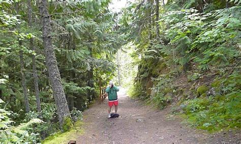 Willow Point Beach House Bandb Reviews Nelson British Columbia