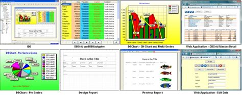 Longtion Application Builder Develop Database Applications And Web Applications