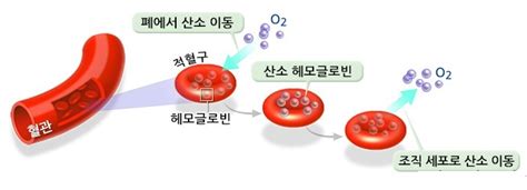 폰문서