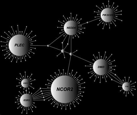 Network Based Meta Analysis Using Candidate Pathogenic Genes Through