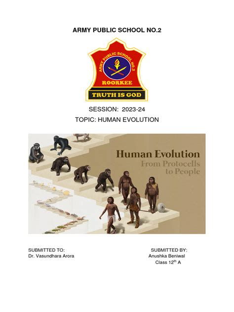 Evolution Pdf Homo Hominidae