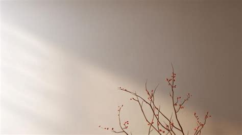 Premium Photo Empty Wall Background With Flower Vase