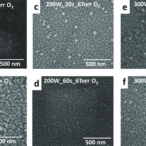 Scanning electron microscopy (SEM) images of porous structures (∼50 nm... | Download Scientific ...