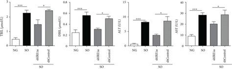 Ire1α Suppression Attenuated The Steatosis In Brl Cells A The