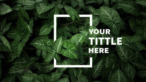 Premium Psd Landscape Wall Photo Frame With A Clean Editable Tittle