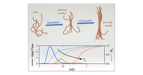 Isothermal Crystallization Kinetics Of α Olefin Molecular Bottlebrushes Macromolecules
