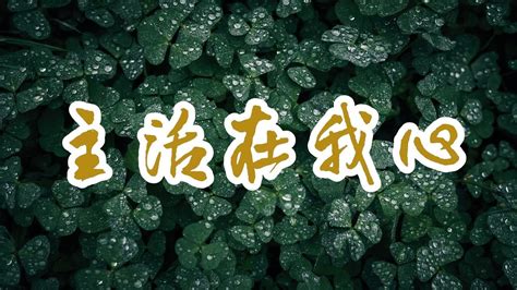 生命圣诗主活在我心卡拉OK 粗体字歌词 敬拜PPT YouTube