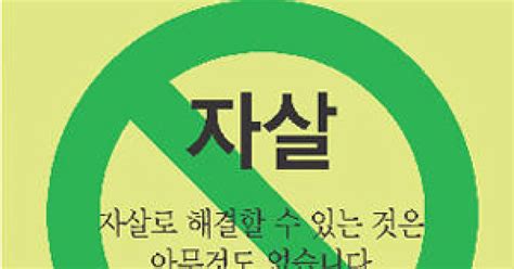 고교생 5명중 1명 자살충동자살기도는 강남이 최다