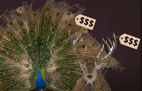 Sex As A Biological Need For Men