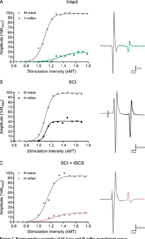 Figure 1 From Multi Session Transcutaneous Spinal Cord Stimulation Prevents Chloride Homeostasis