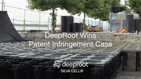 News Deeproot Blog