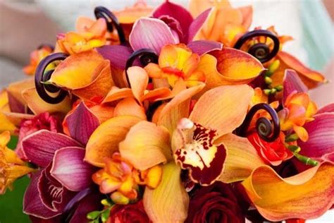 Организиране на есенна сватба Градски дами