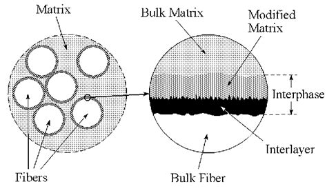 A Schematic Illustration Of A Composite Interphase Download Scientific Diagram