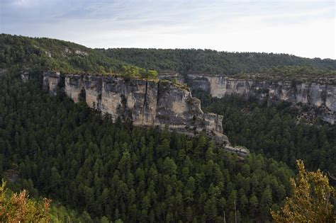 🎖 Cayetana Guillén Cuervo 5 Razones Para Seguir Su Carrera Artística