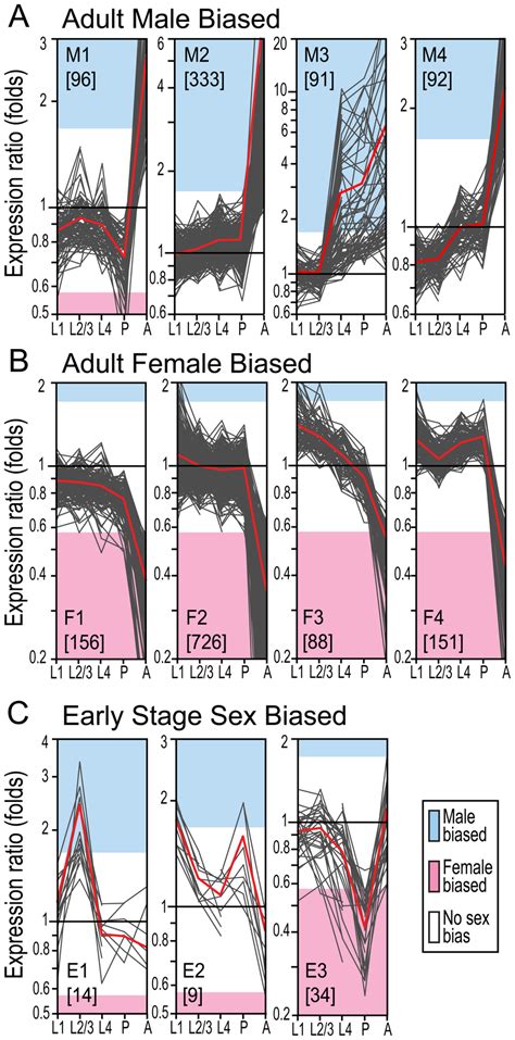 Sex Biased Developmental Transcription Programmes Of Co Expressed