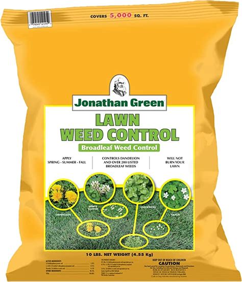 Prepare Your Lawn For Spring A Helpful 8 Step Guide Home Arise