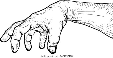 Hand Grasping Posture Hand Drawn Vector Vetor Stock Livre De Direitos 1624057180