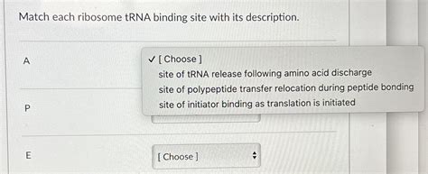 Solved Match Each Ribosome Trna Binding Site With Its
