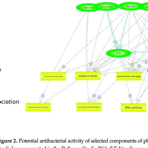 Potential Antibacterial Activity Of Selected Components Of Phytobiotics Download Scientific