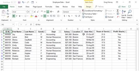 Using Excel 2019 Filters Dummies