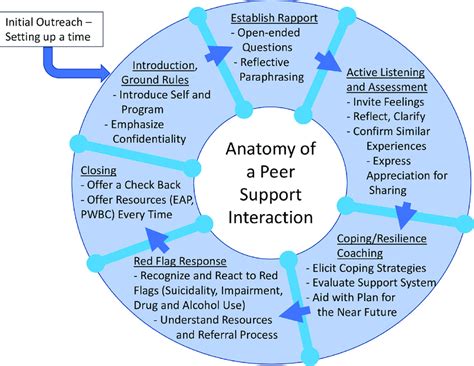 The Anatomy Of A Peer Support Interaction Overview Of The Components Download Scientific