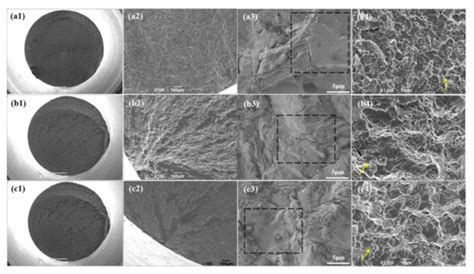 Correction Tang L Et Al Effect Of Oxygen Variation On High Cycle