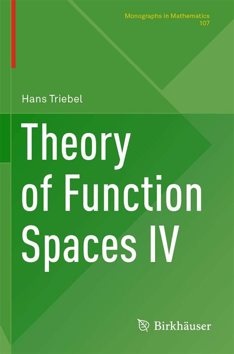 Theory Of Function Spaces Iv Monographs In Mathematics Triebel Hans 9783030358938 Amazon