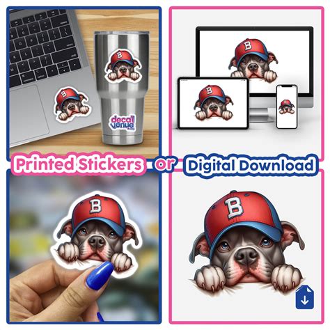 Adorable Peeking Pitbull Stickers Decal Venue