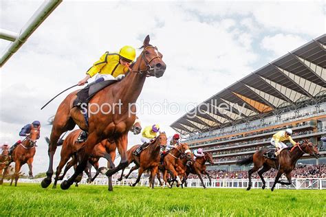 Royal Ascot Images Horse Racing Posters Ryan Moore
