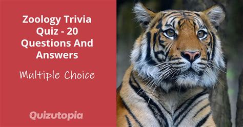 40 Multiple Choice Trivia Questions And Answers - Quizutopia
