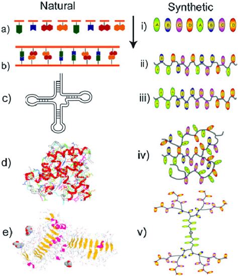 Synthetic Polymers Examples