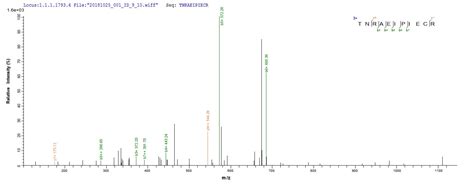 Recombinant Human Zona Pellucida Sperm Binding Protein 3 Zp3 Partial