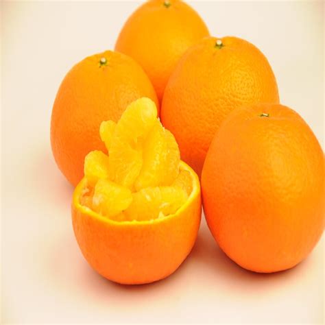 Kg E