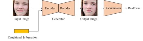 Schematic Diagram Of The Network Framework For Conditional