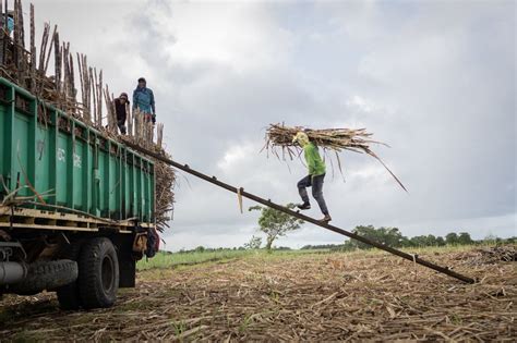 Land Reform For Filipino Sugarcane Farmers Ilc
