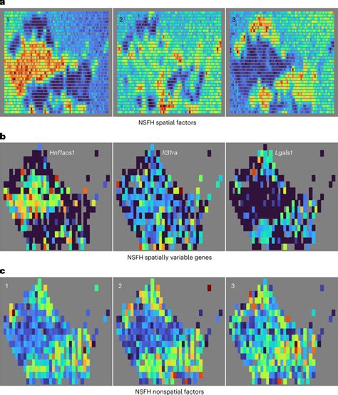 nsfh model combines spatial and nonspatial factors in xyzeq mouse liver