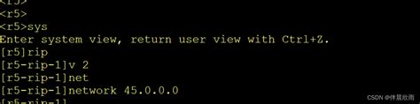 Rip综合实验 Csdn博客