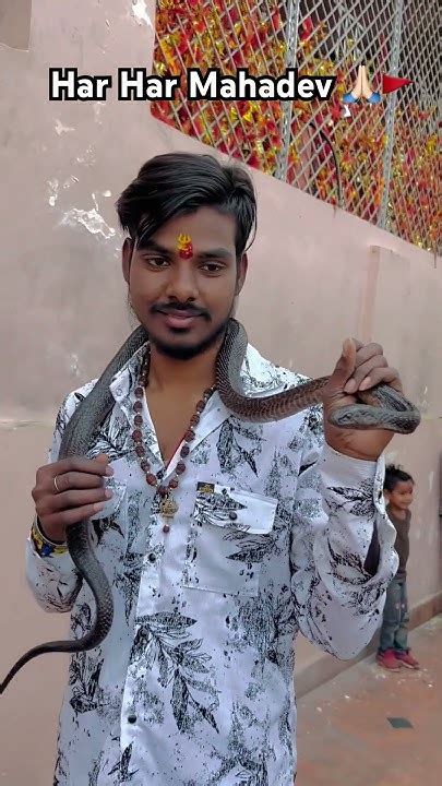 Har Har Mahadev 🚩🙏🏻🕉️ Love Song Music Hindisong Tseries Youtube