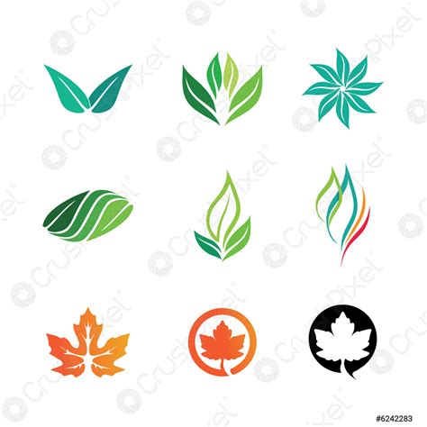 Plant Seeds Logo Concept Template Vectorgrowing Seed Logoseed Grow